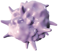 Defitelio® (defibrotide sodium) | Mechanism of Action