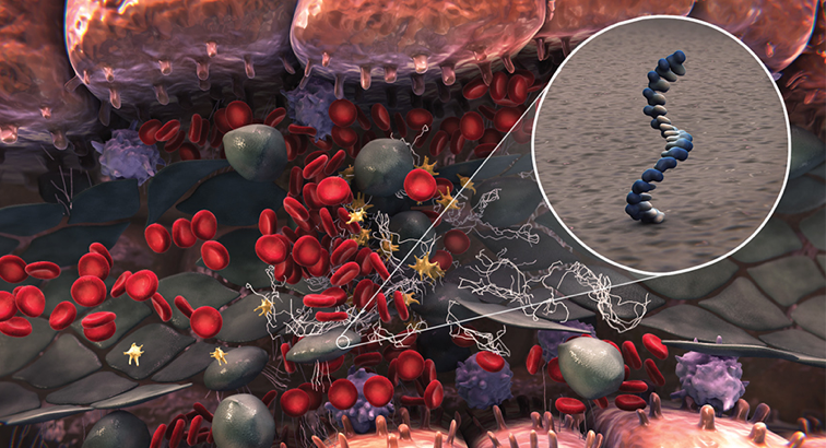 Defitelio® (defibrotide sodium) | Mechanism of Action