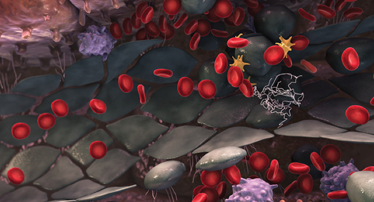 Defitelio® (defibrotide sodium) | Mechanism of Action